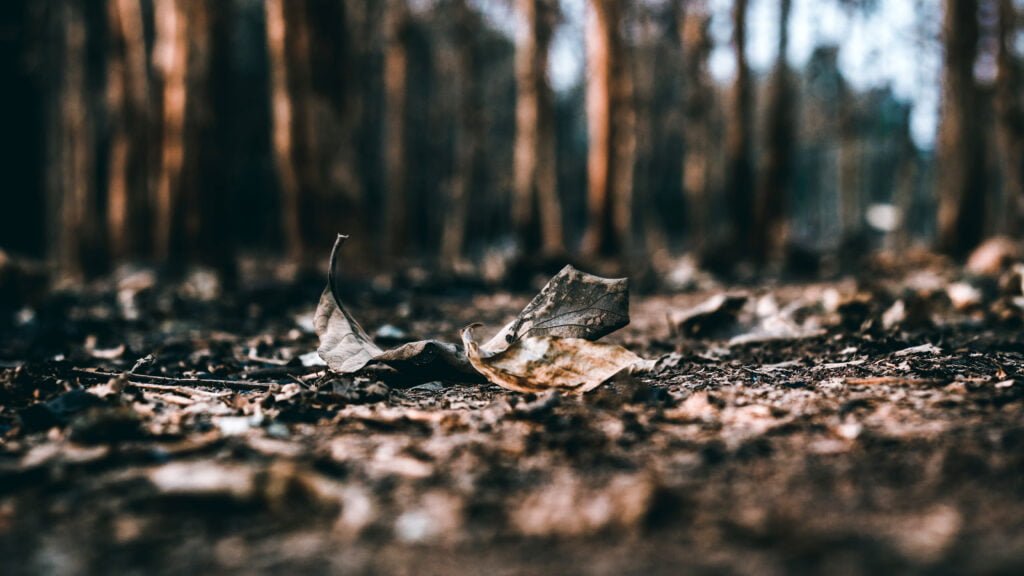 Why does God let bad things happen? - Institute in Basic Life Principles