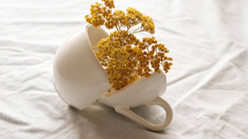 How can I live with a physical “defect”? - Institute in Basic Life ...