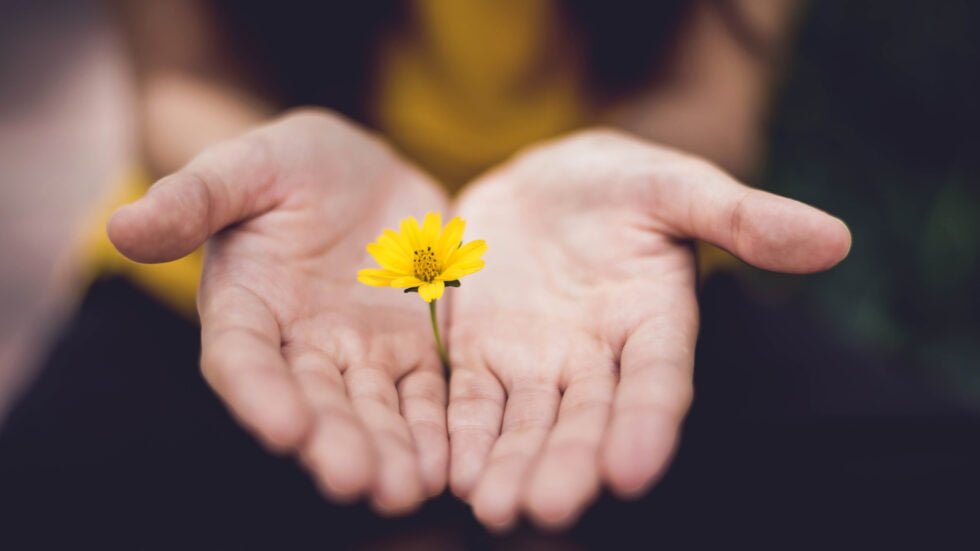 What is the spiritual gift of giving? - Institute in Basic Life Principles