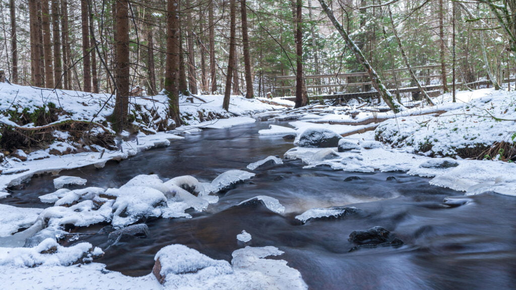 First Things First - Institute in Basic Life Principles