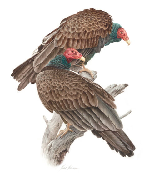 Humility - Institute in Basic Life Principles