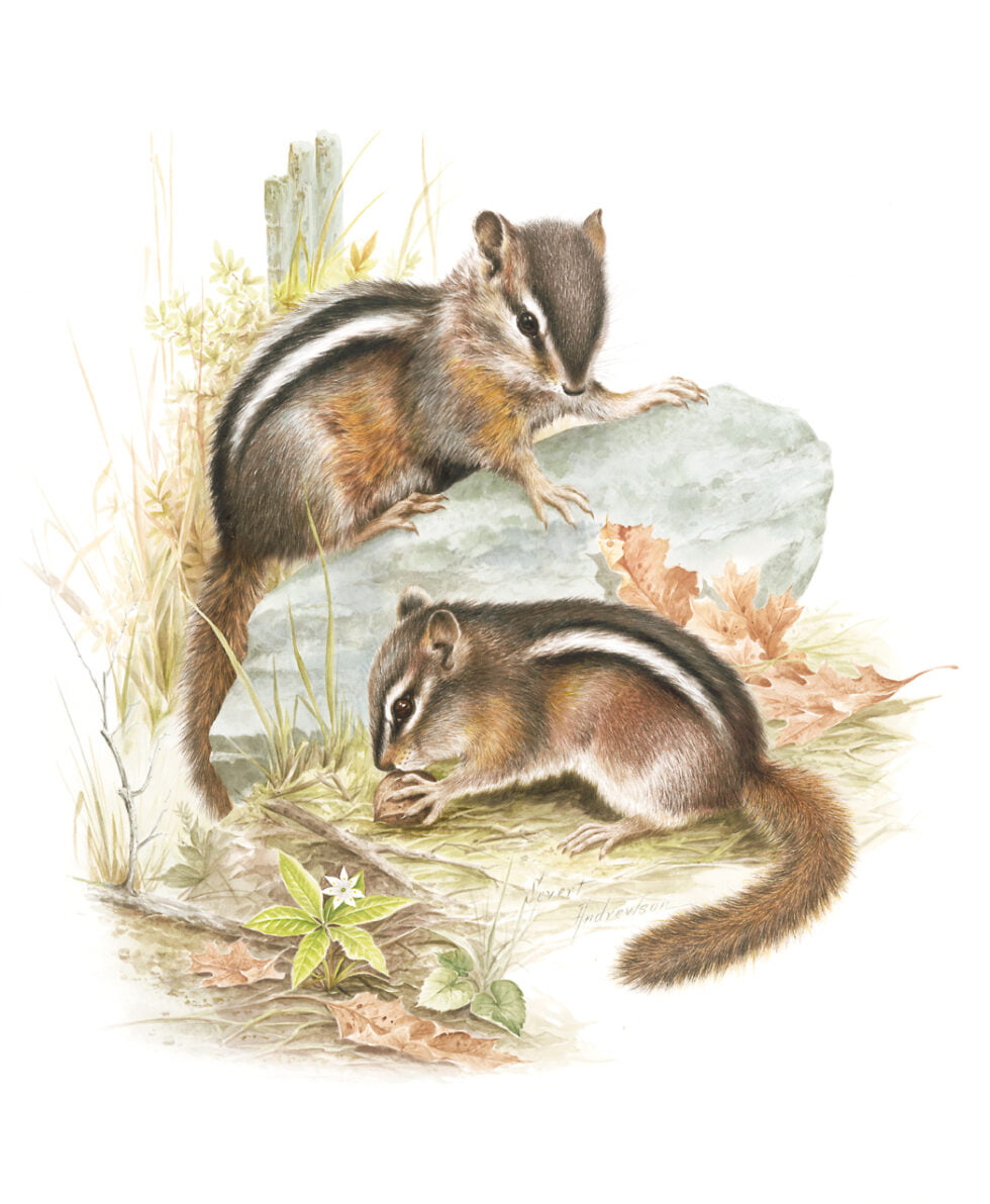 Orderliness - Institute in Basic Life Principles