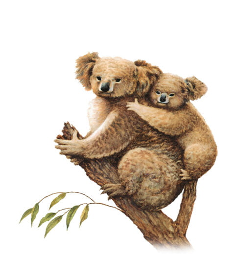 Thriftiness - Institute in Basic Life Principles