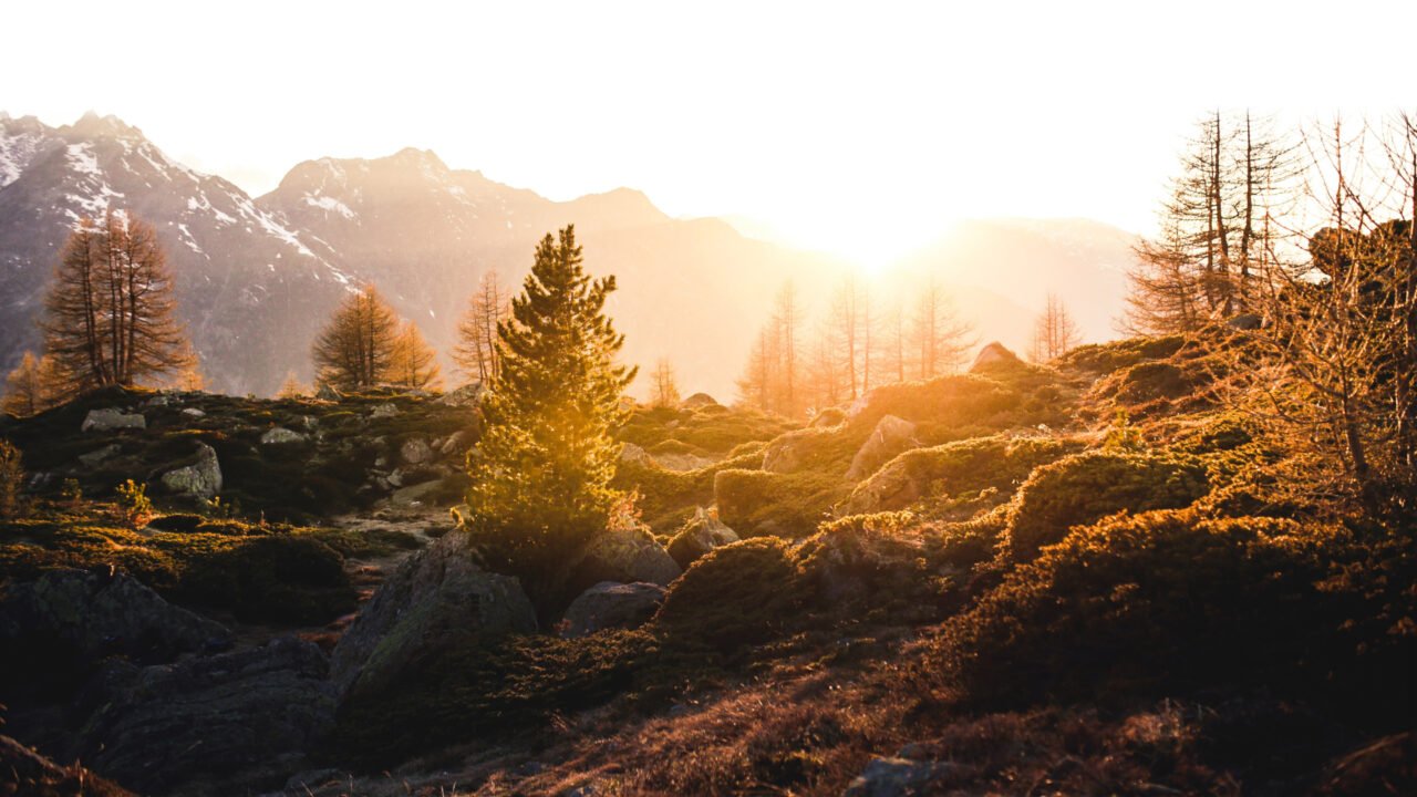 Entering into His Rest - Institute in Basic Life Principles