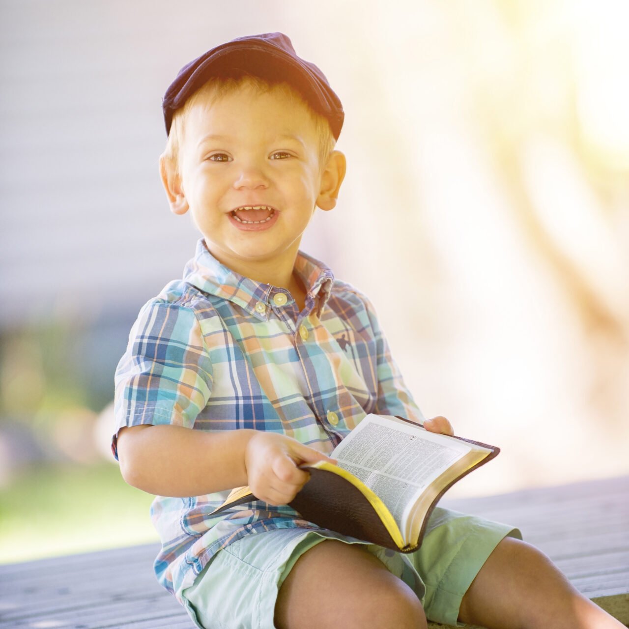 Biblical Character Illustrated Curriculum - Institute in Basic Life ...