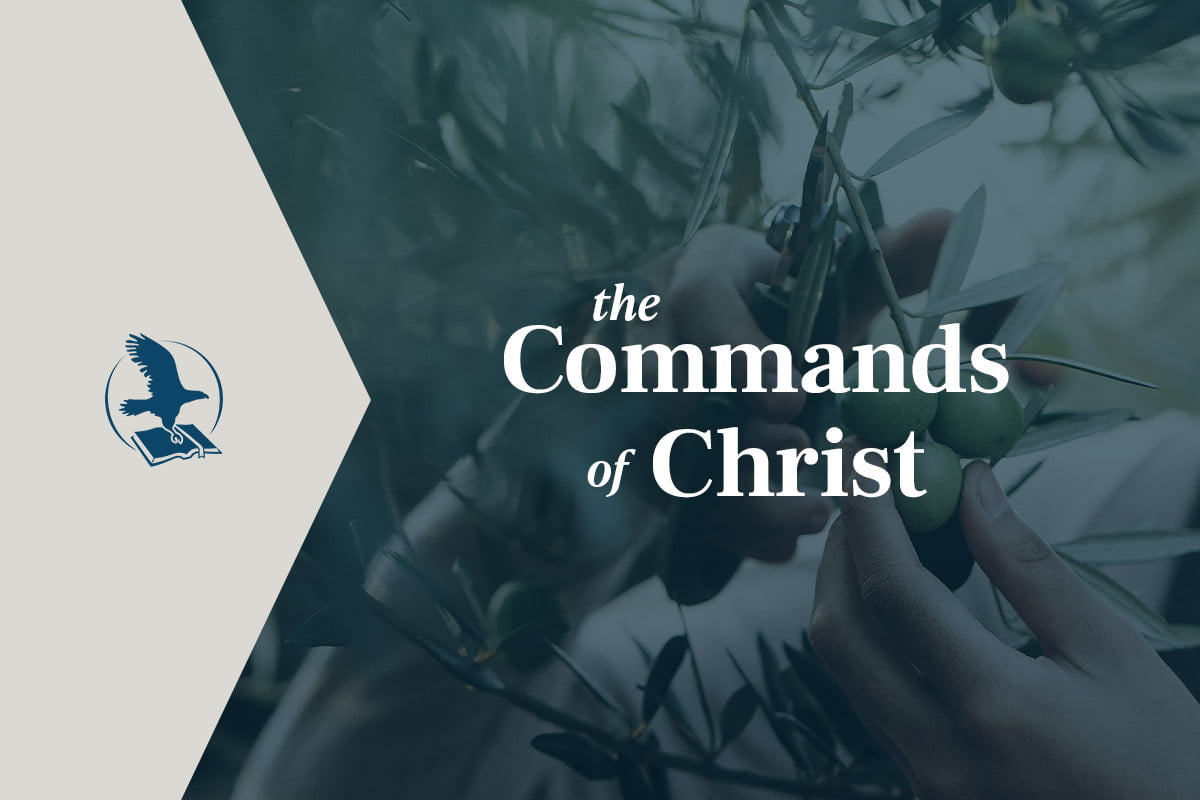Commands of Christ - Institute in Basic Life Principles