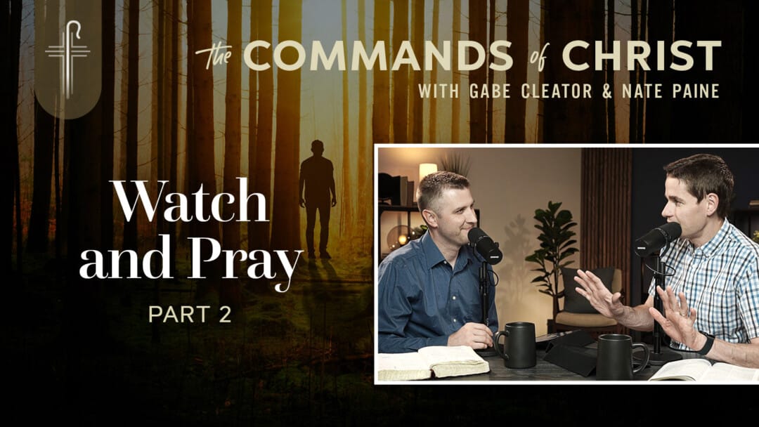 What are the commands of Christ? - Institute in Basic Life Principles