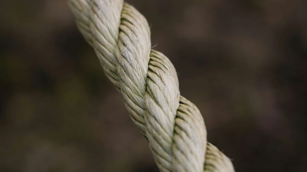 A Threefold Cord - Institute in Basic Life Principles