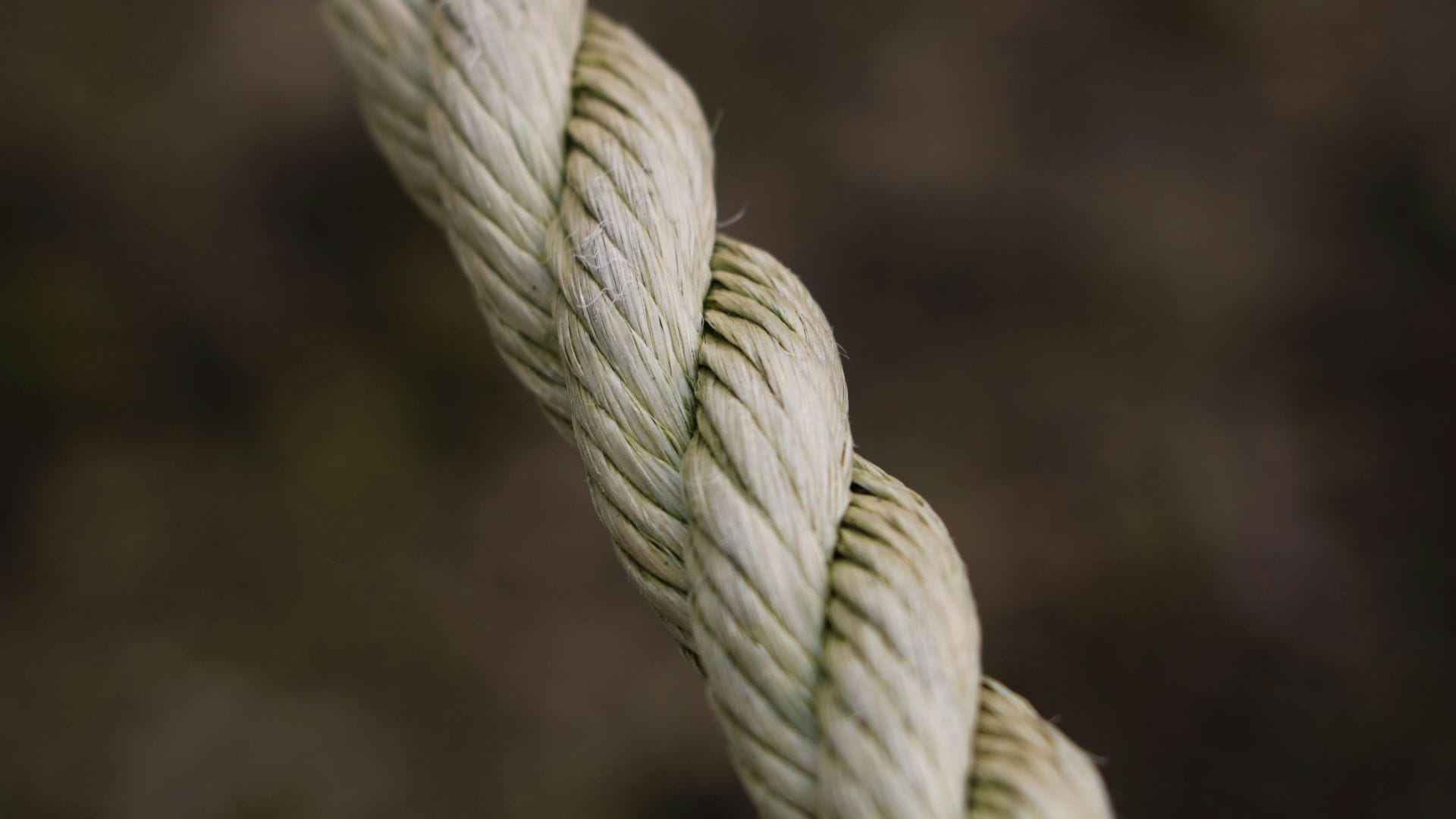 A Threefold Cord - Institute in Basic Life Principles