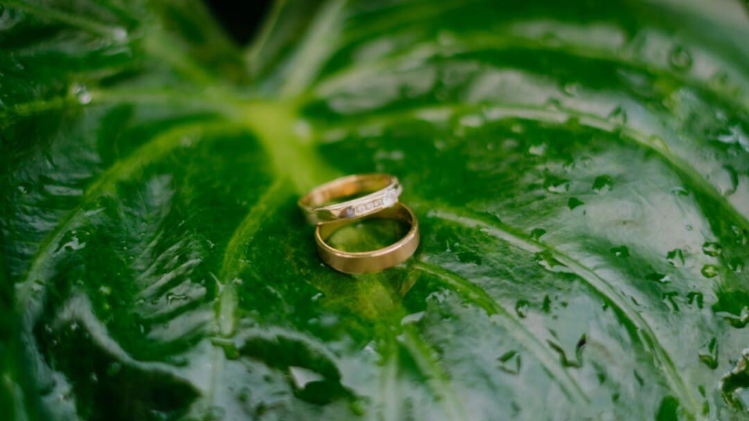 What are God-ordained authority structures? - Institute in Basic Life ...