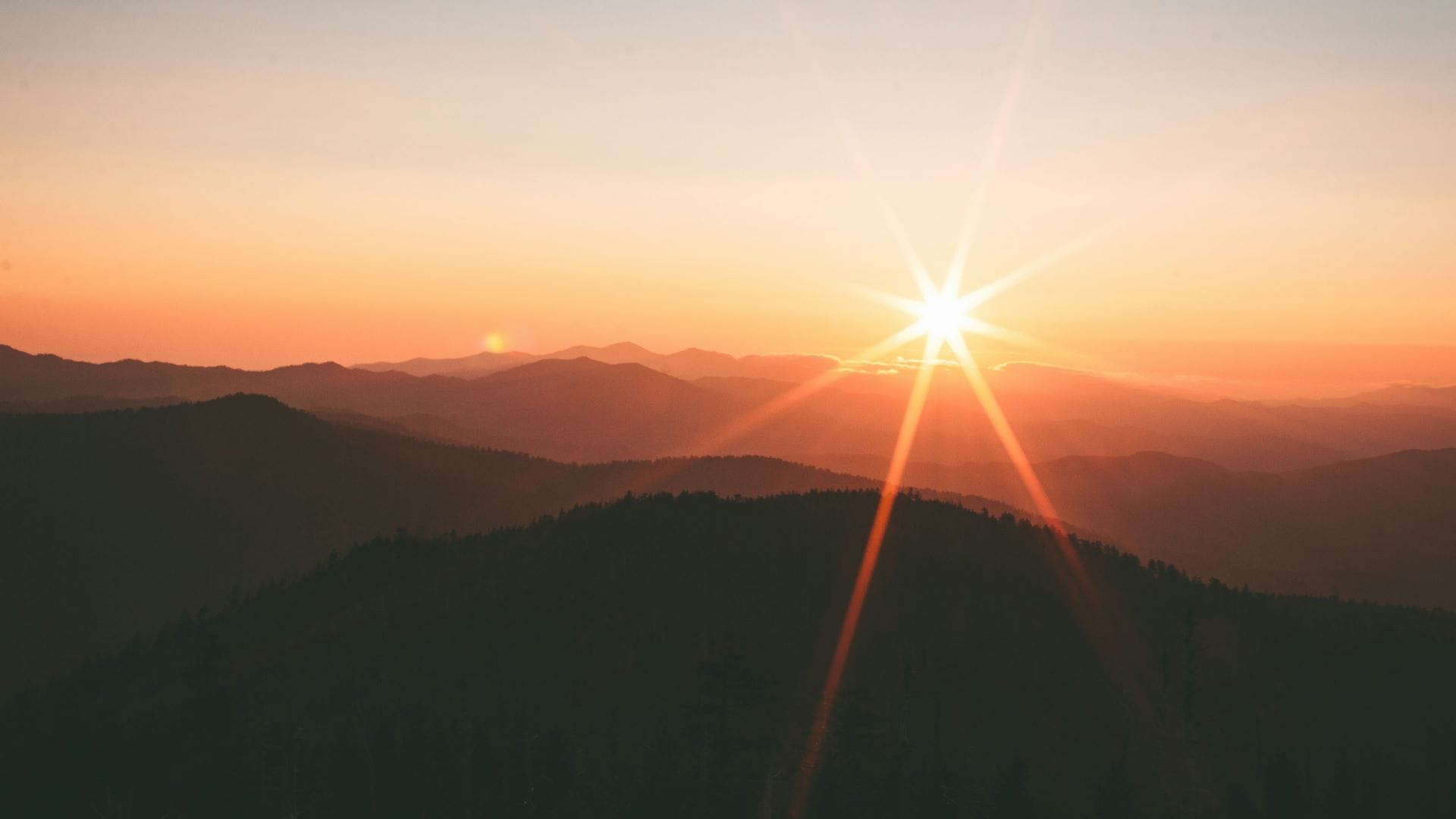 Perfected Saints - Institute in Basic Life Principles